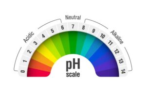 La Balance de Taylor - L'activité Piscine