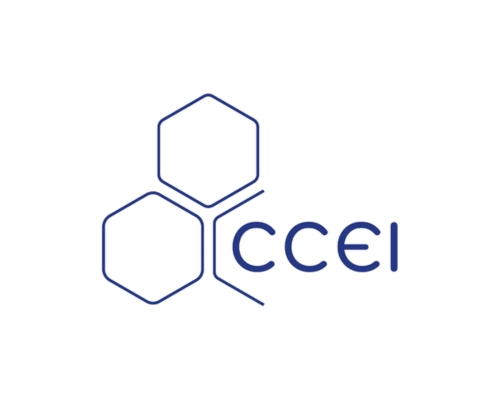 CCEI ACADEMY -FORMATIONS 2024/2025 - Activité Piscine